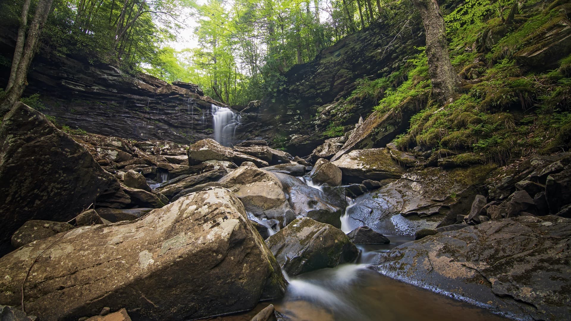 Parks & Public Lands - Pocahontas County, WV