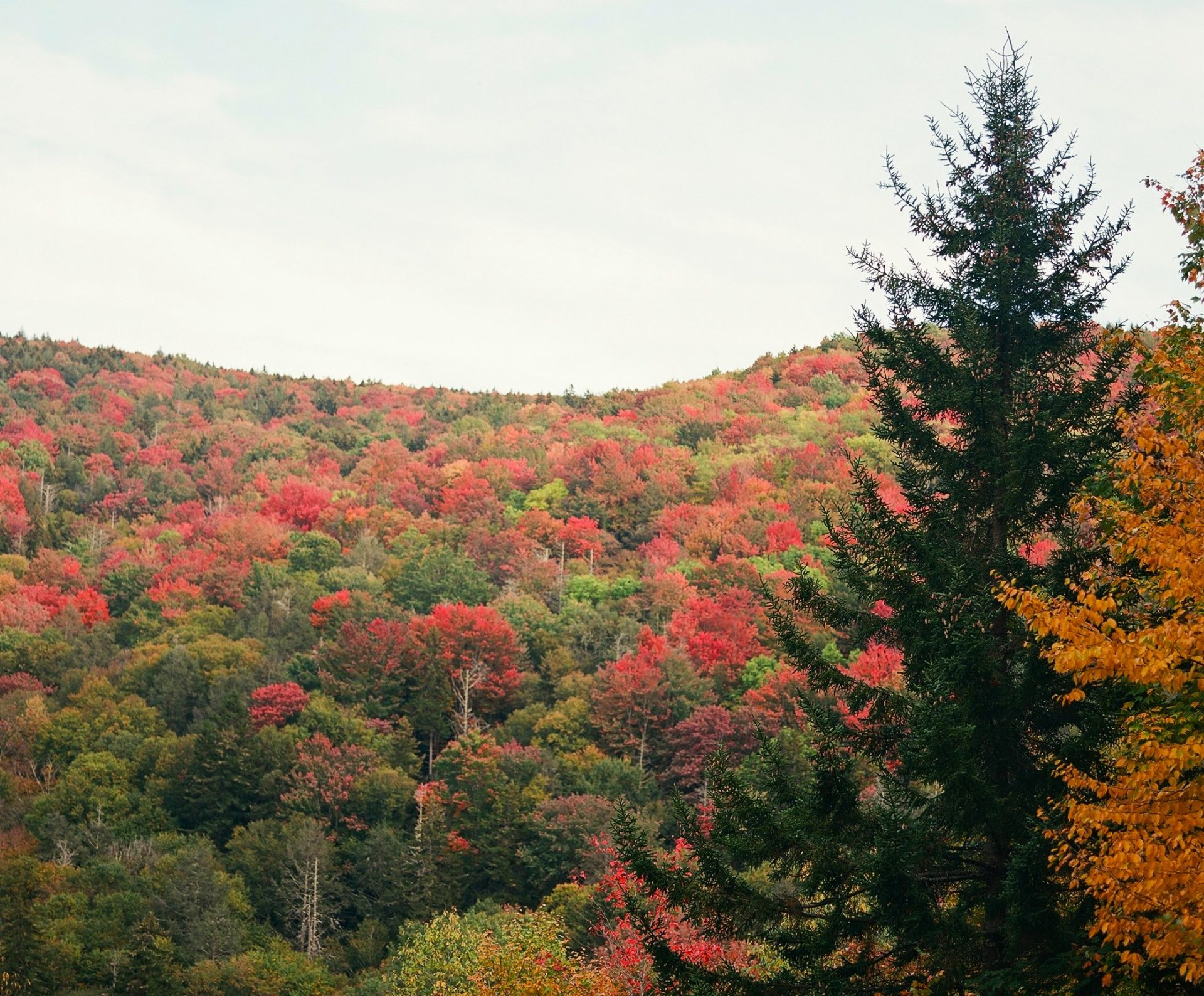 It’s Leaf Peeping Time! Getting Out and Enjoying the Colors of Fall in ...