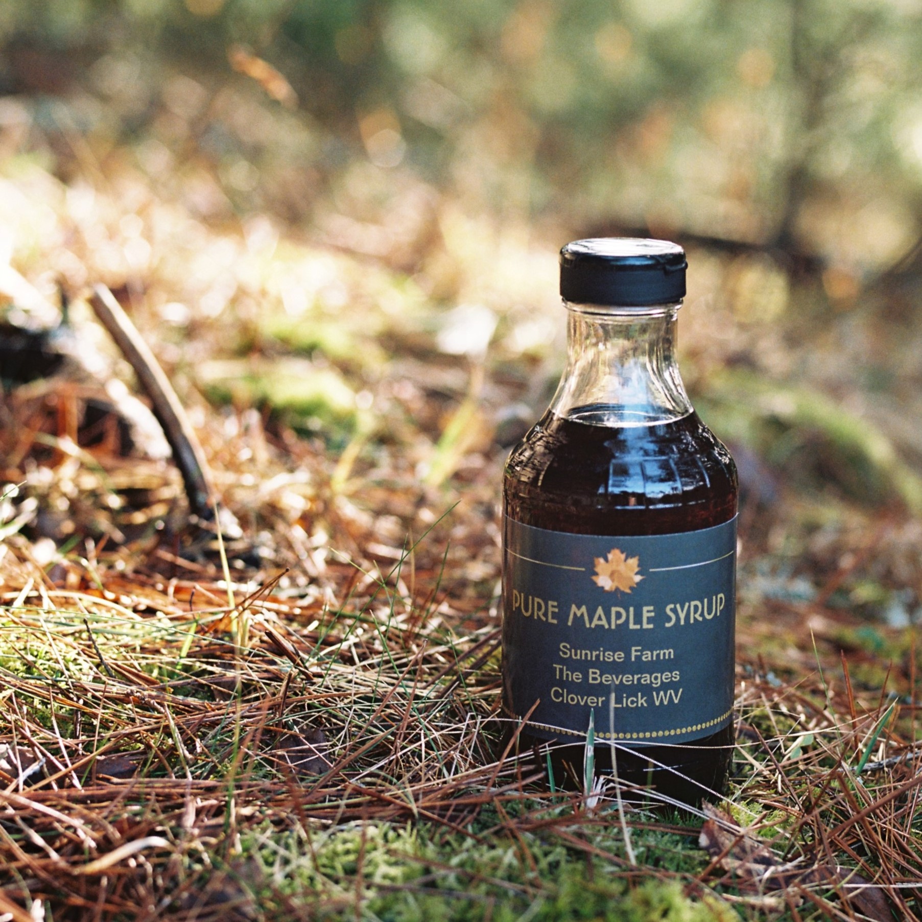 Mountain State Maple Days 2023 Preview - Pocahontas County, WV