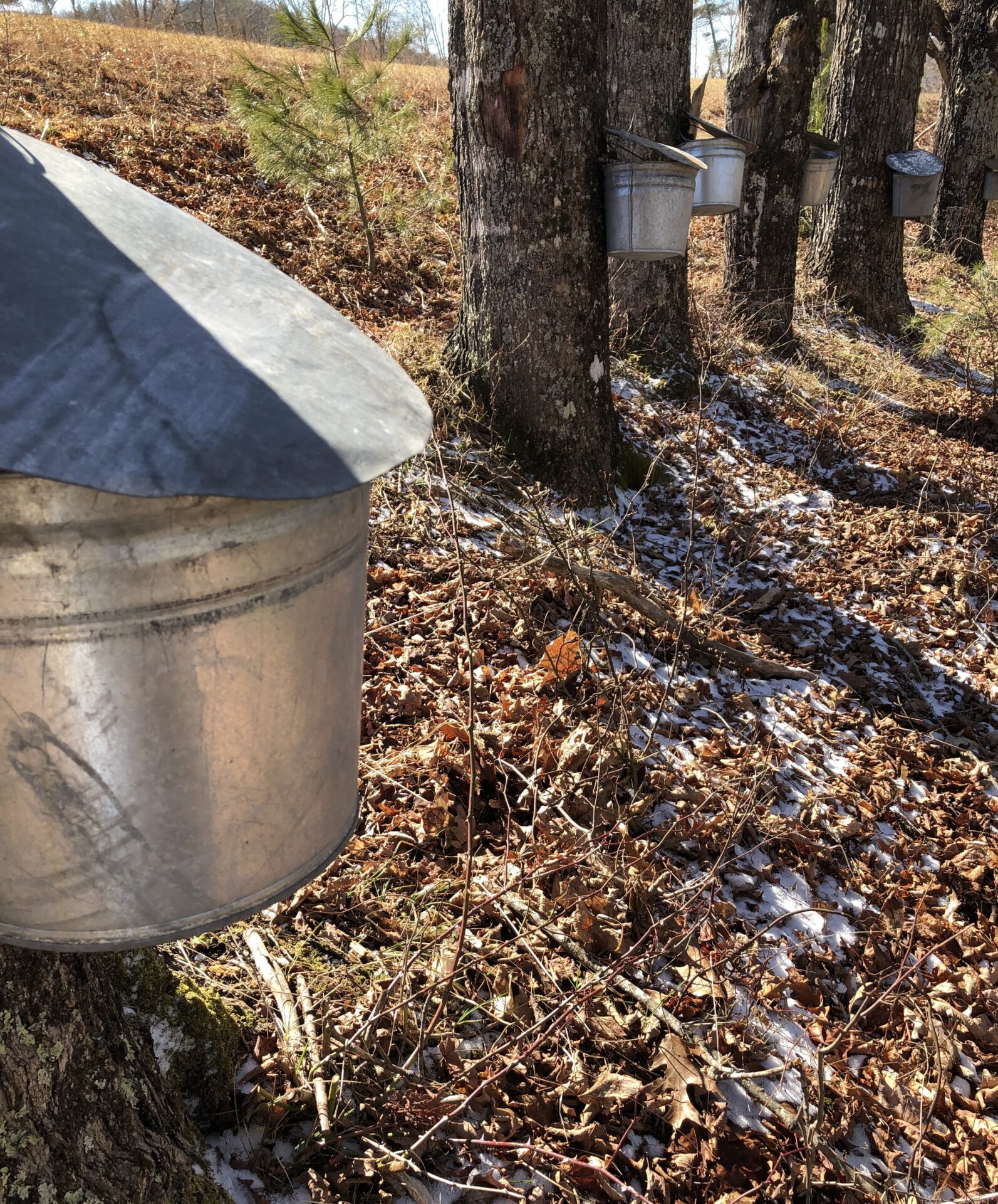 10 Delicious Ways to Take Your Maple Syrup Past Breakfast - Pocahontas ...