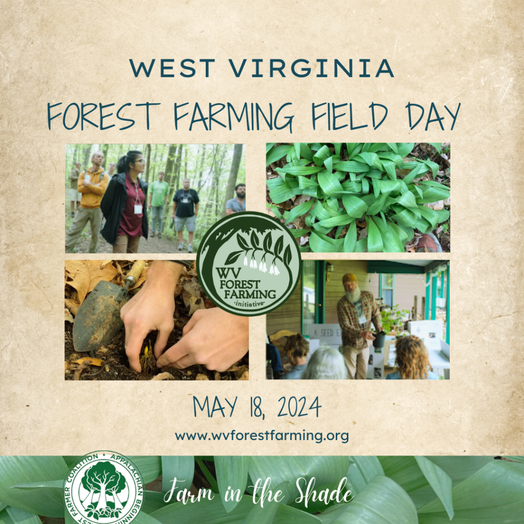 Forest Farming Field Day - Pocahontas County, WV