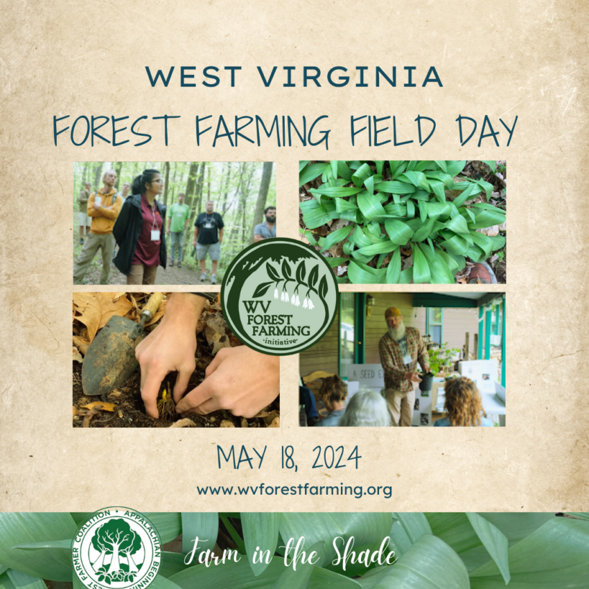 Forest Farming Field Day - Pocahontas County, WV
