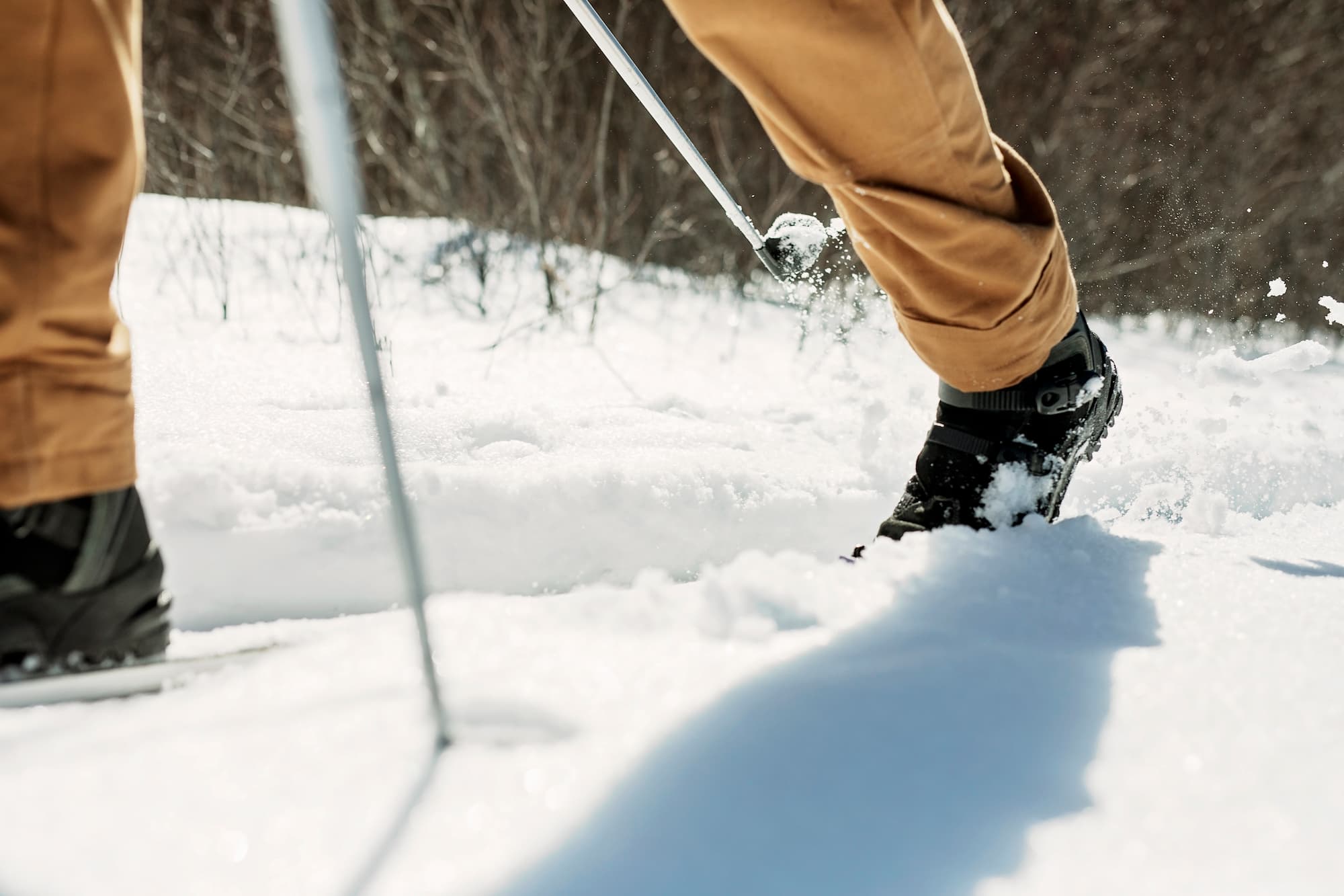 Pocahontas County S Winter Adventure Guide Pocahontas County Wv