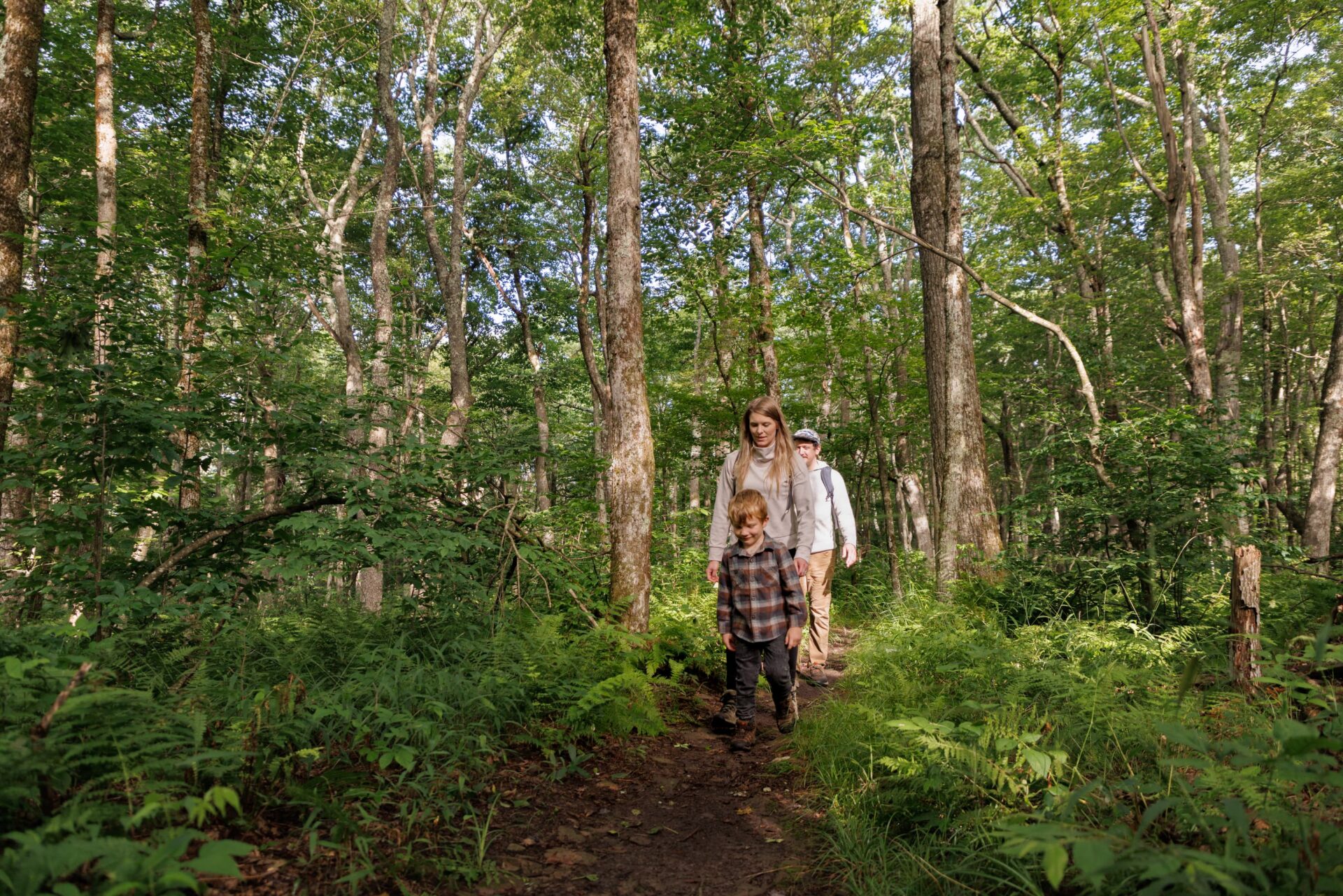 A Guide To Hiking In Pocahontas County, West Virginia - Pocahontas ...