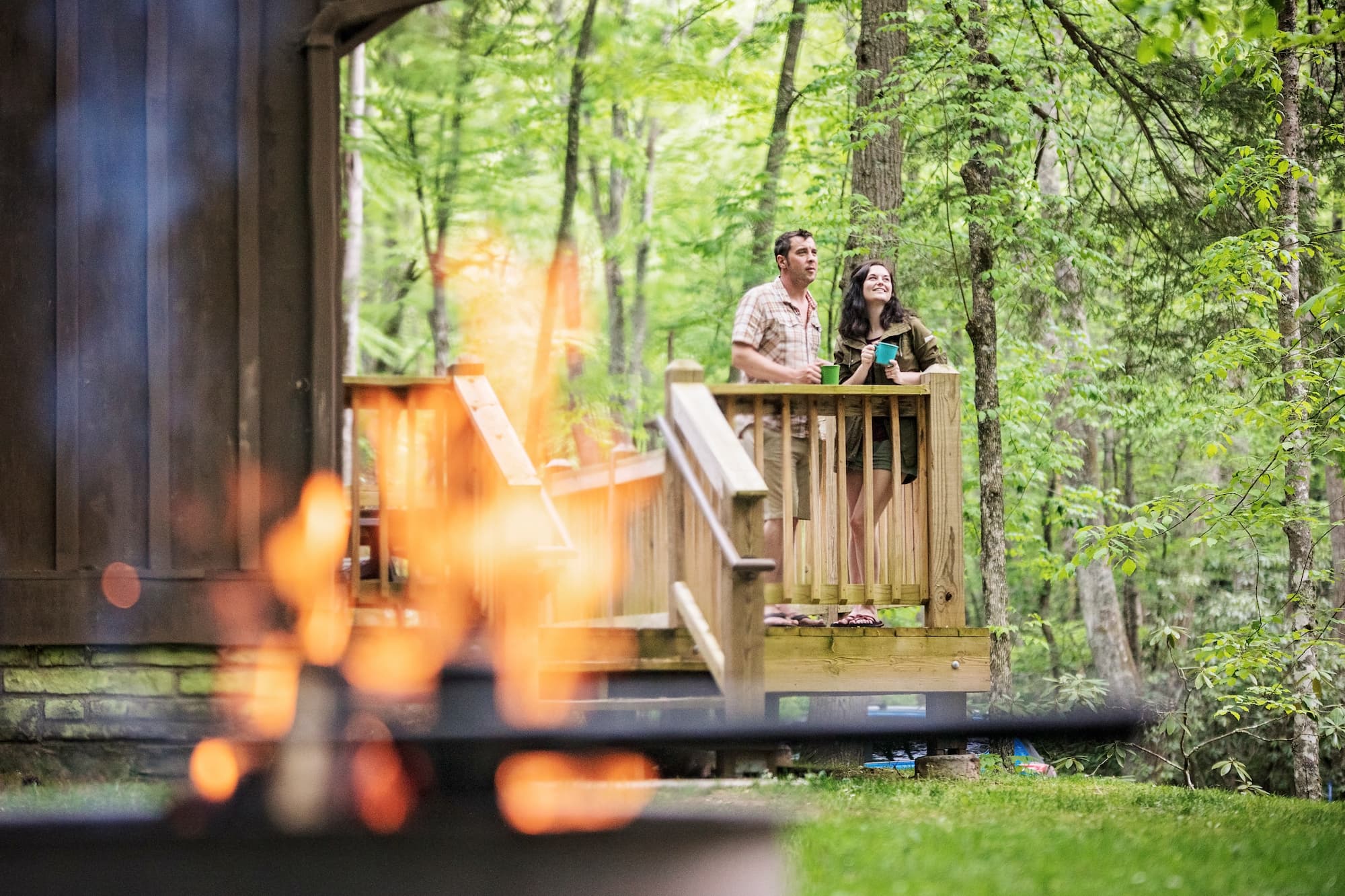 A Dazzling Display in the Dark: Witnessing Synchronous Fireflies at ...