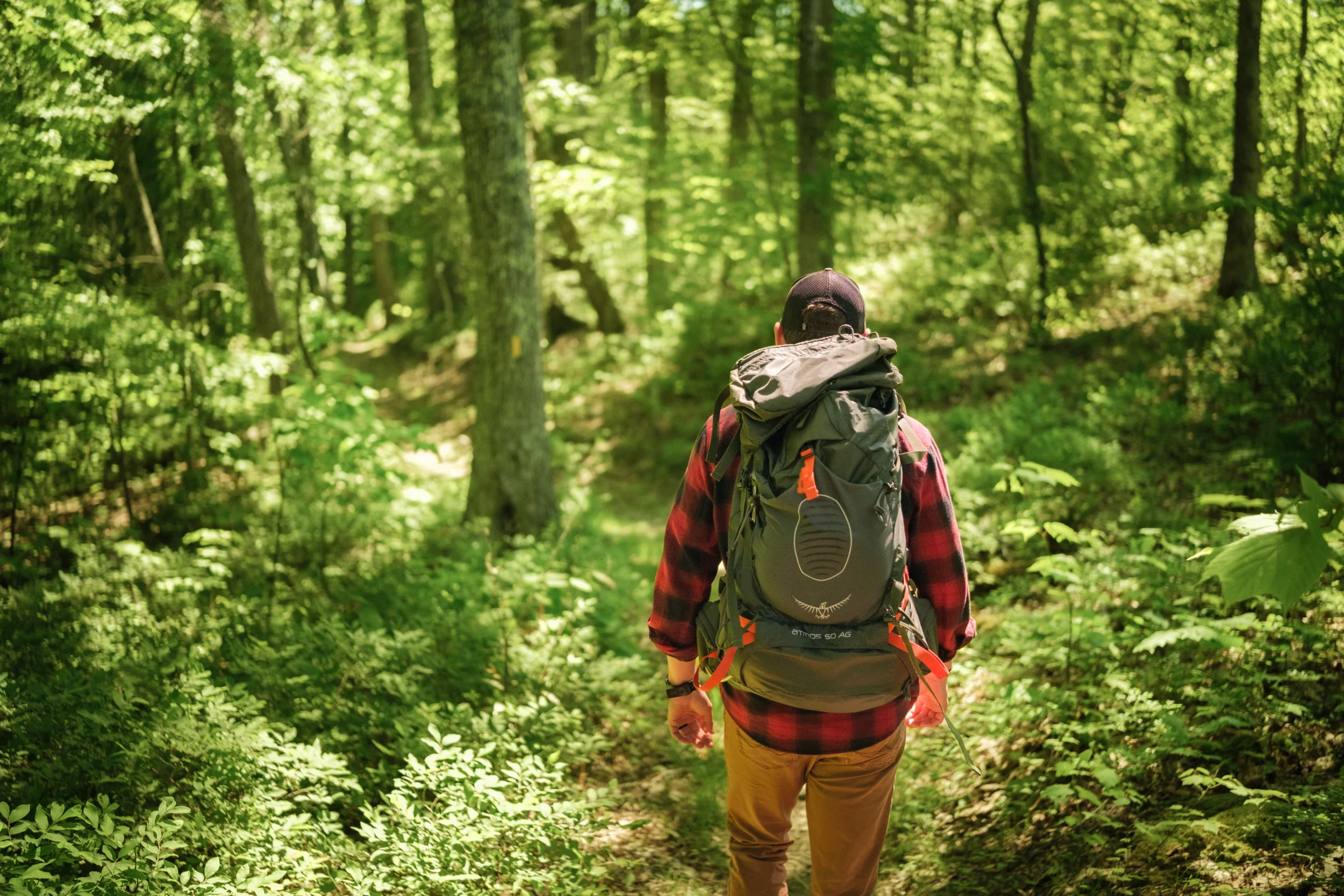 Silver and Gold: Recapping 2024 - A Year of Reflection and Celebration ...