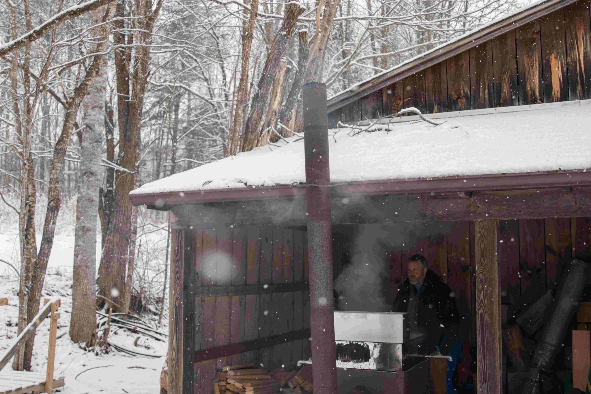 2026 Mountain State Maple Days - Pocahontas County, WV